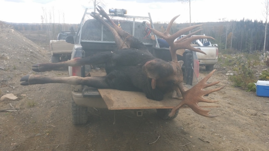 Ambush Outfitters BC (CORP) - Hunting Big Game Hunting Upland Game ...