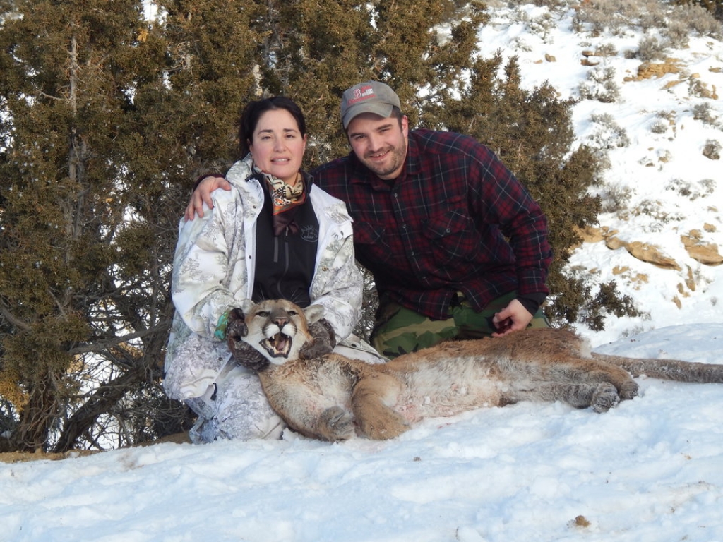 Red Desert Outfitters - Hunting Big Game Hunting Elk Hunting in Rock ...