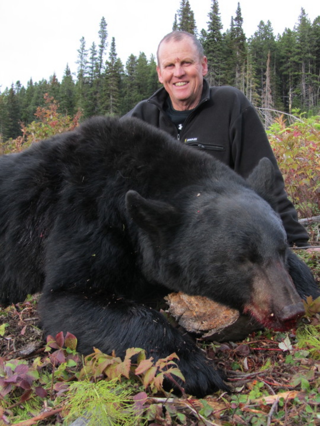 Fredlund Guide Service - Hunting Big Game Hunting Elk Hunting in Dawson ...