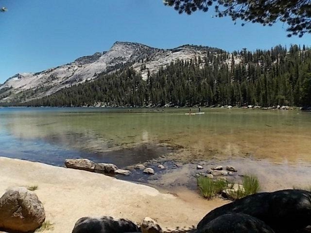 Tenaya Lake - Fishing Camping Cycling in California, California ...