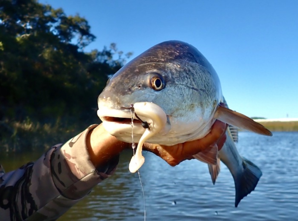 Little Talbot Island State Park - Fishing Kayaking Beach Activities ...